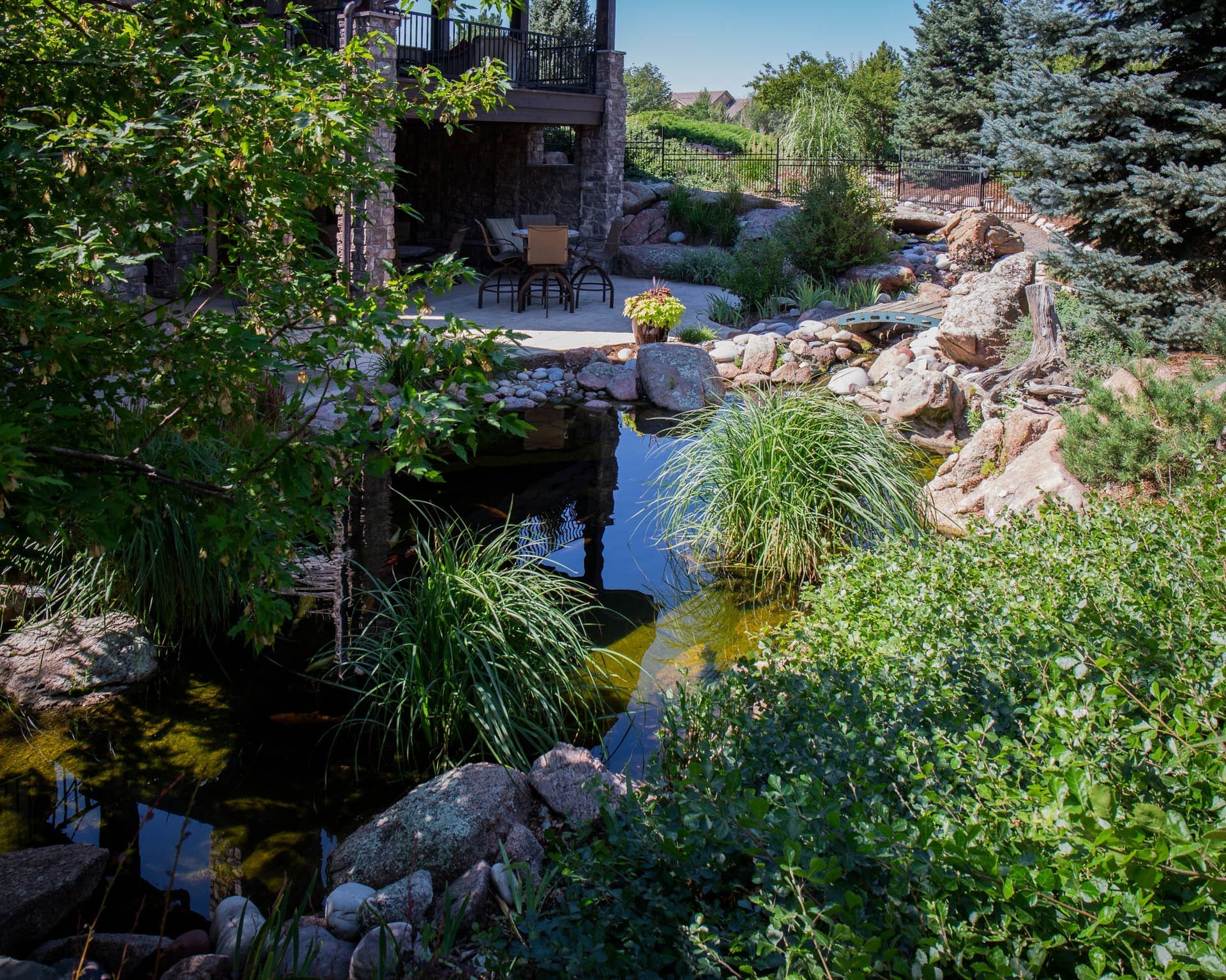 Caring for your Colorado Landscape: for Beginners